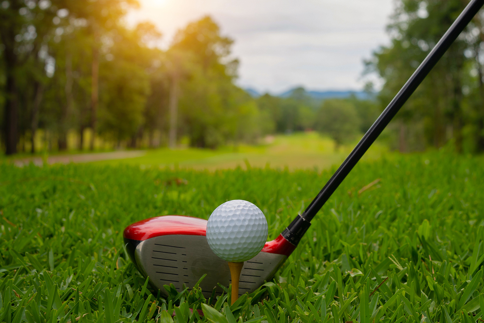 Easily Find The Best Charleston Area Golf Courses